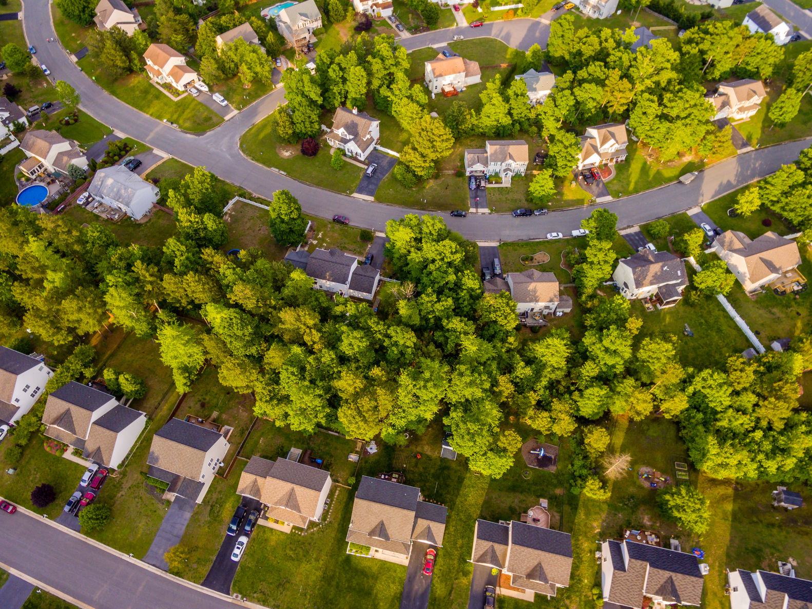 Subdivision Template